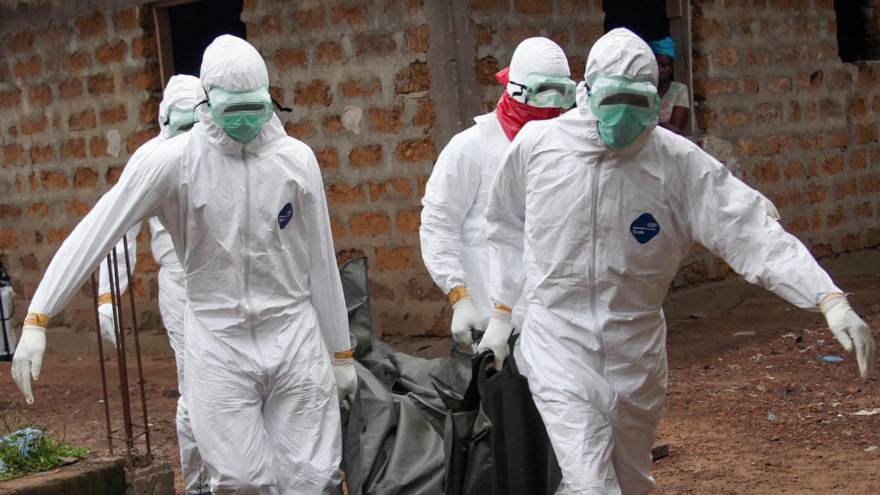 Un nouveau cas de contamination par le virus Ebola a été détecté en ... Un nouveau cas de contamination par le virus Ebola a été détecté en ...